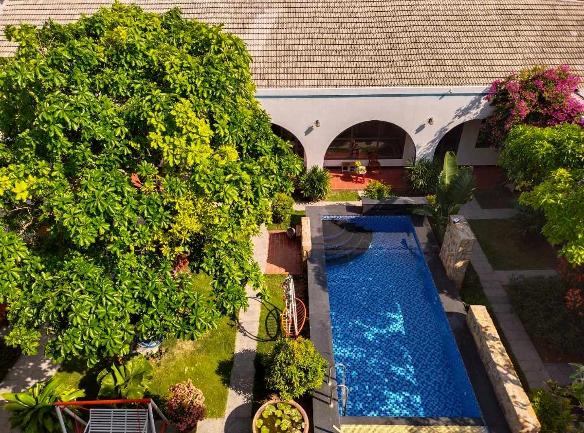 Review Tropical homestay Phú Yên - khu vườn nhiệt đới giữa lòng thành ...